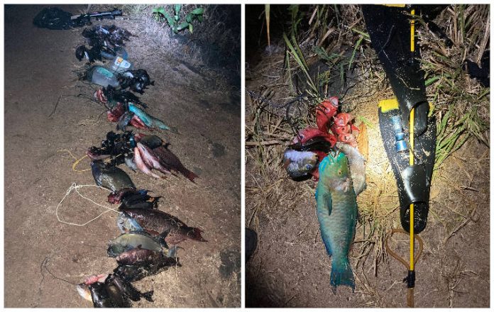 9 Anglers Cited for Illegal Fishing in Hawaii | Baitshop.com