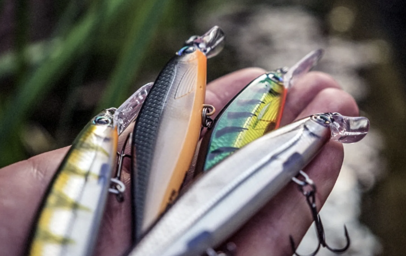 Simplified Guide to Fishing with Twitch Baits | Baitshop.com