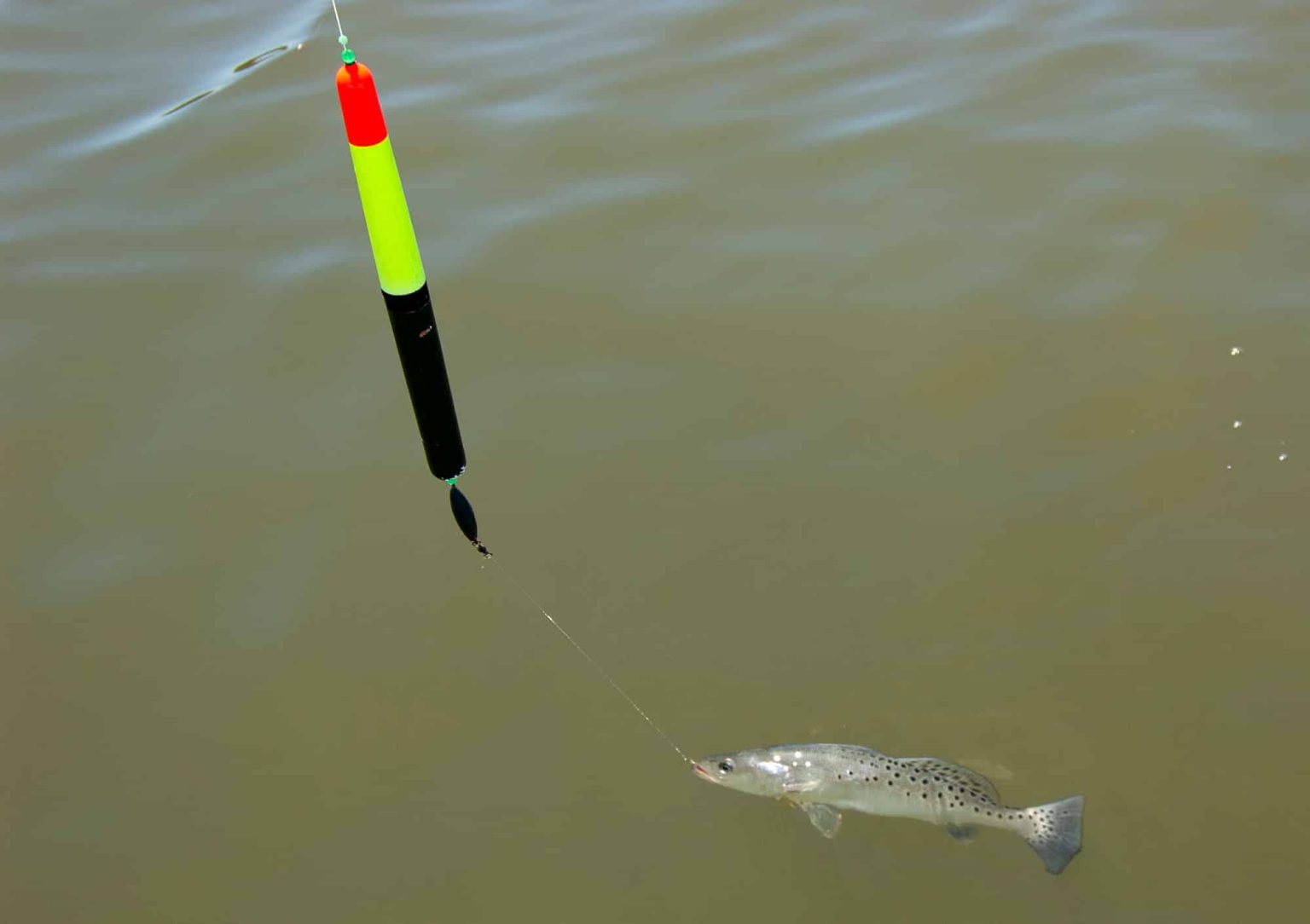 Choosing the Right Pencil Floats for Fishing | Baitshop.com