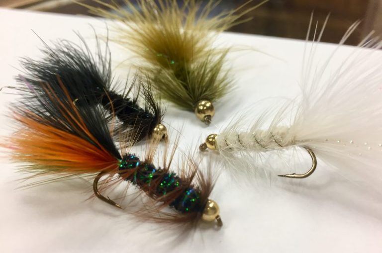 The Ultimate Autumn Fly: Why the Woolly Bugger is a Fall Favorite ...