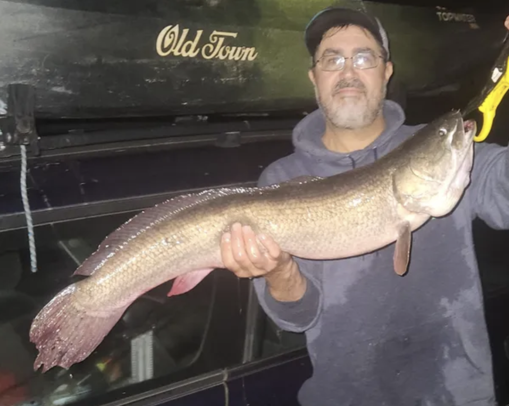 New Jersey Angler Catches Record-Breaking Bowfin, a Rare ‘Living Fossil ...