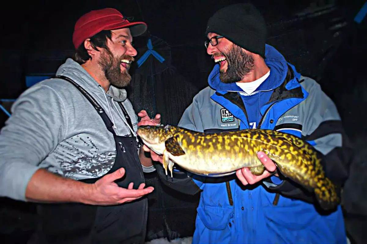 Burbot: The Misunderstood Predator of the Ice Belt | Baitshop.com