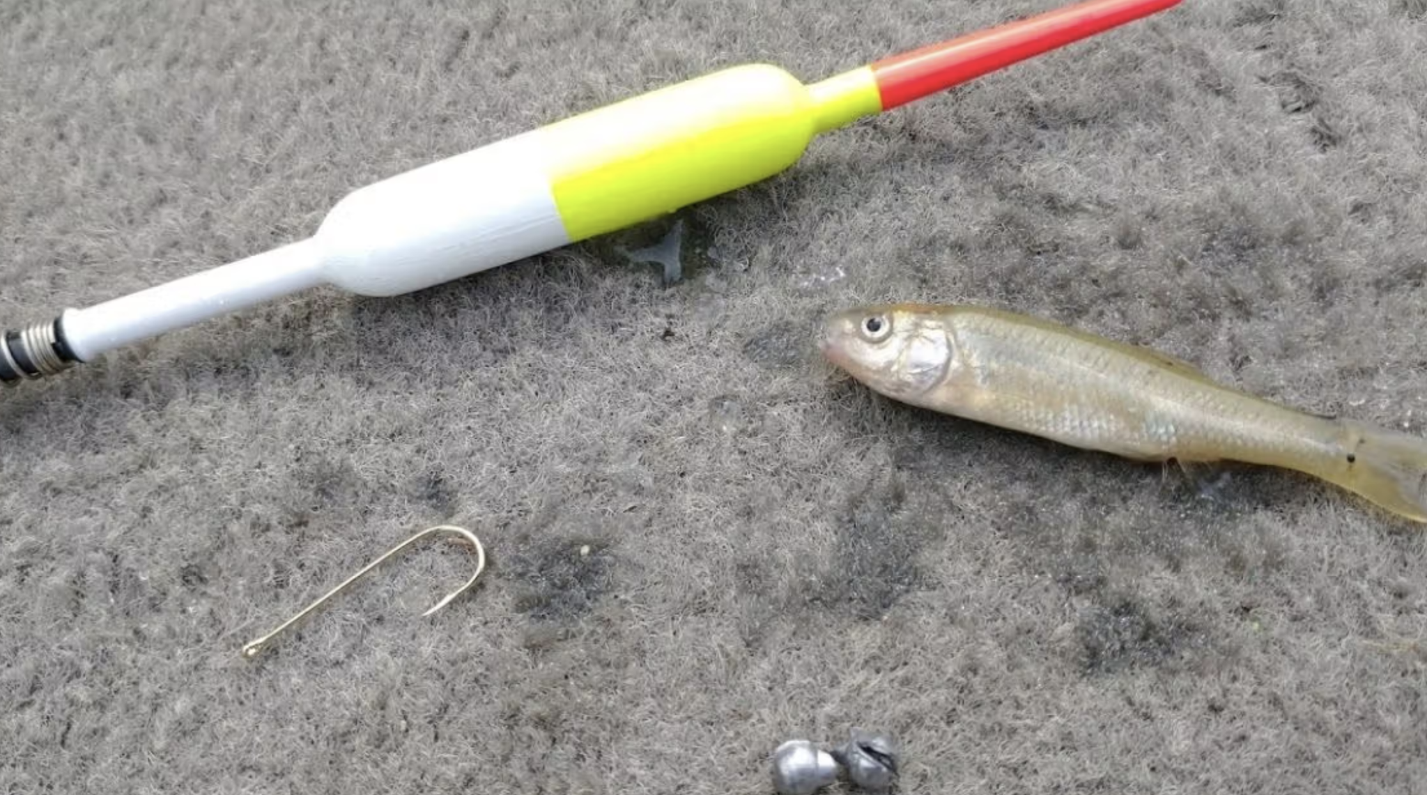 Simple Spring Bobber Setup: A 4-Step Guide | Baitshop.com