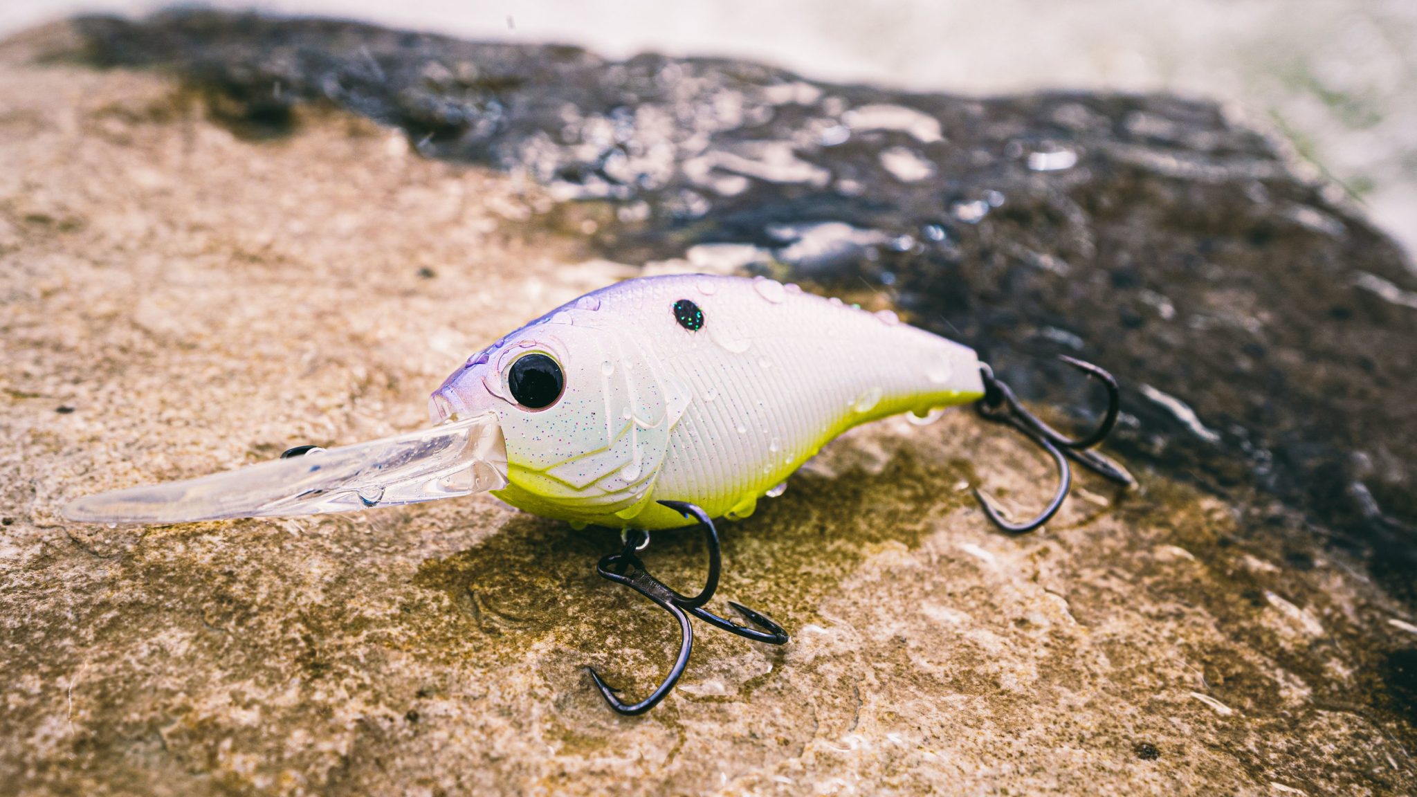 Going Deep: Best Baits for Targeting Bass in Deeper Water | Baitshop.com