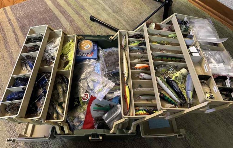 Summer-Ready Tackle Box: How to Stay Organized and Catch More Fis ...