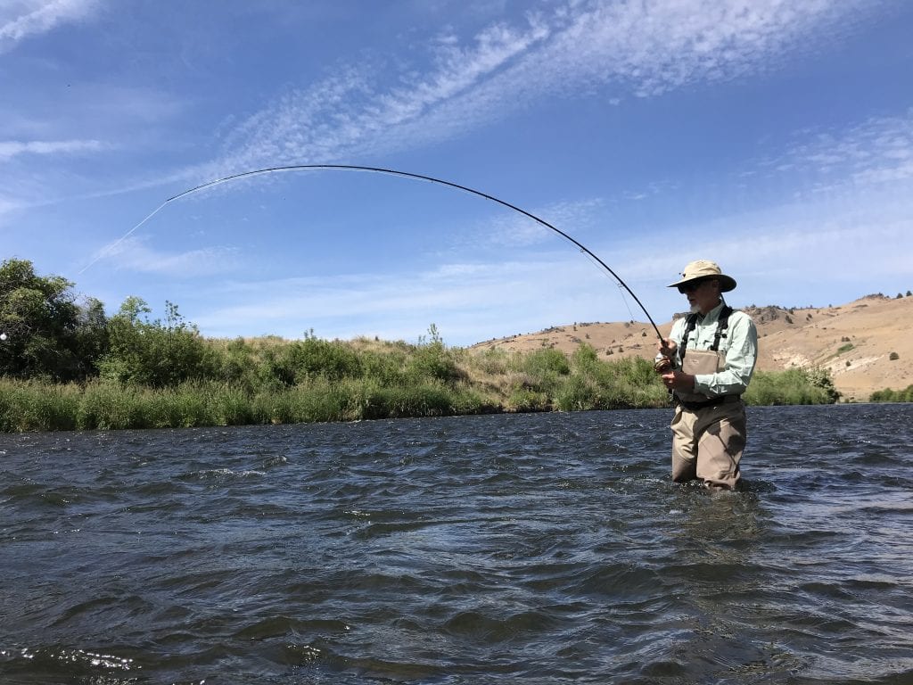 Hooked on Summer: Choosing the Right Fly Rod for Warm Weather Fishing ...