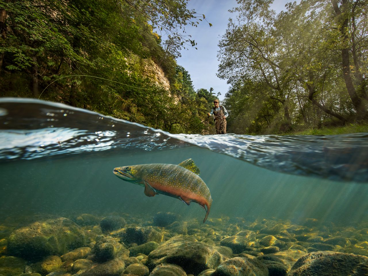 5 Must-Fish Spots Along the Mighty Mississippi | Baitshop.com