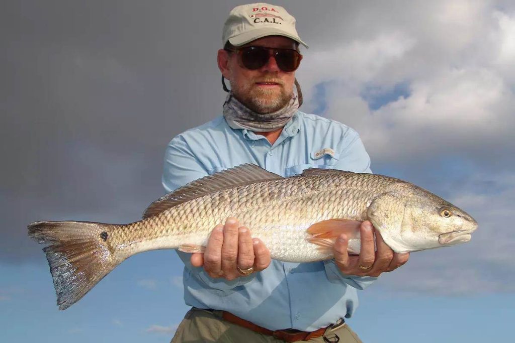 Expert Tactics for Florida Anglers Seeking Redfish | Baitshop.com